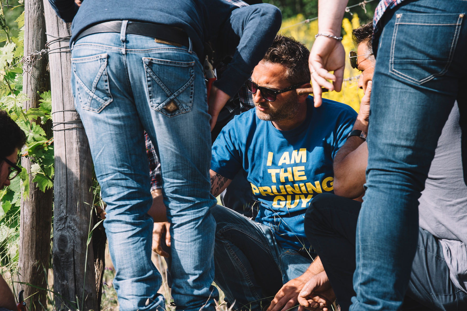 Become a Vine Pruner - Simonit & Sirch Academy Usa