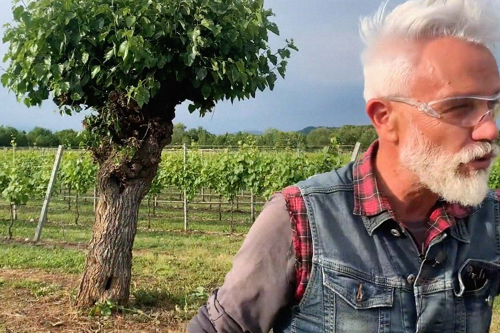 Repositioning Cut and Crown Head - Simonit & Sirch Academy Usa